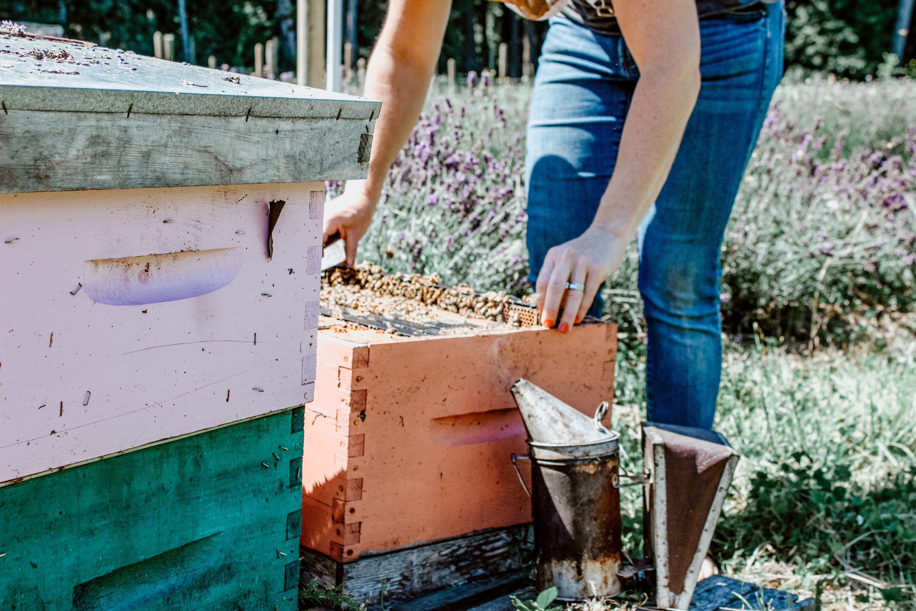 Meaningful Ways to Support Pollinators